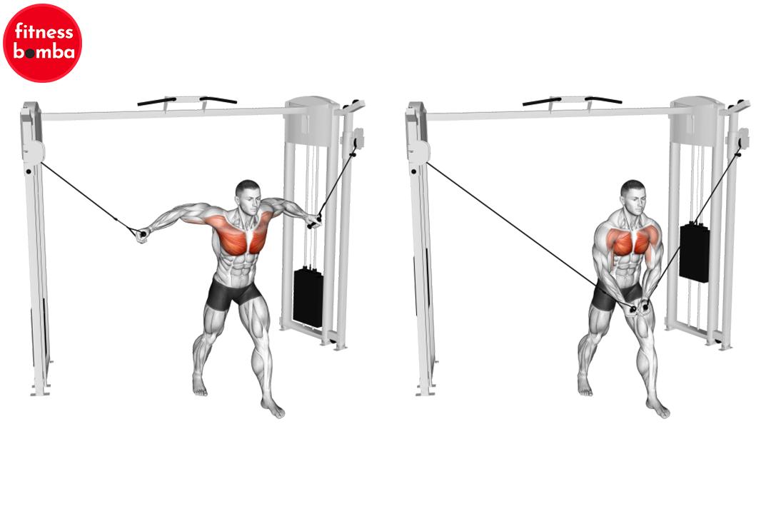 Chest Cable Workouts: The Best 5 Secret for a Bigger Chest - fitnessbomba
