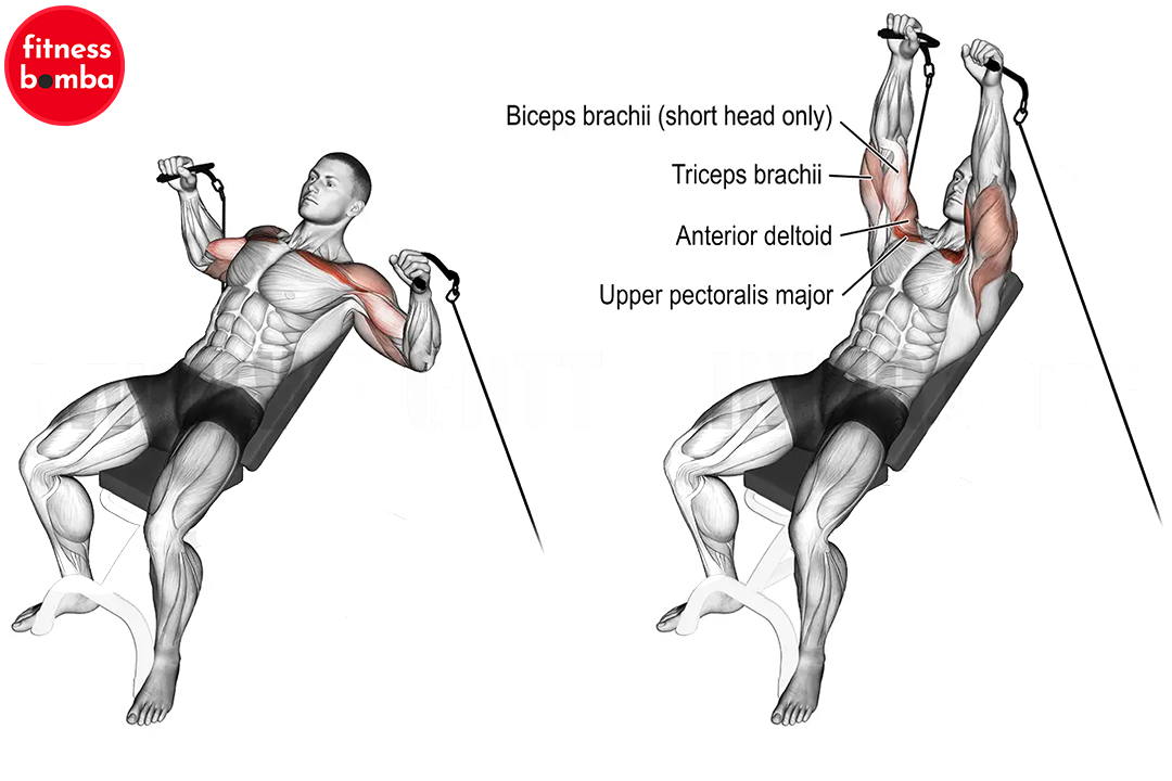 Chest Cable Workouts: The Best 5 Secret for a Bigger Chest - fitnessbomba